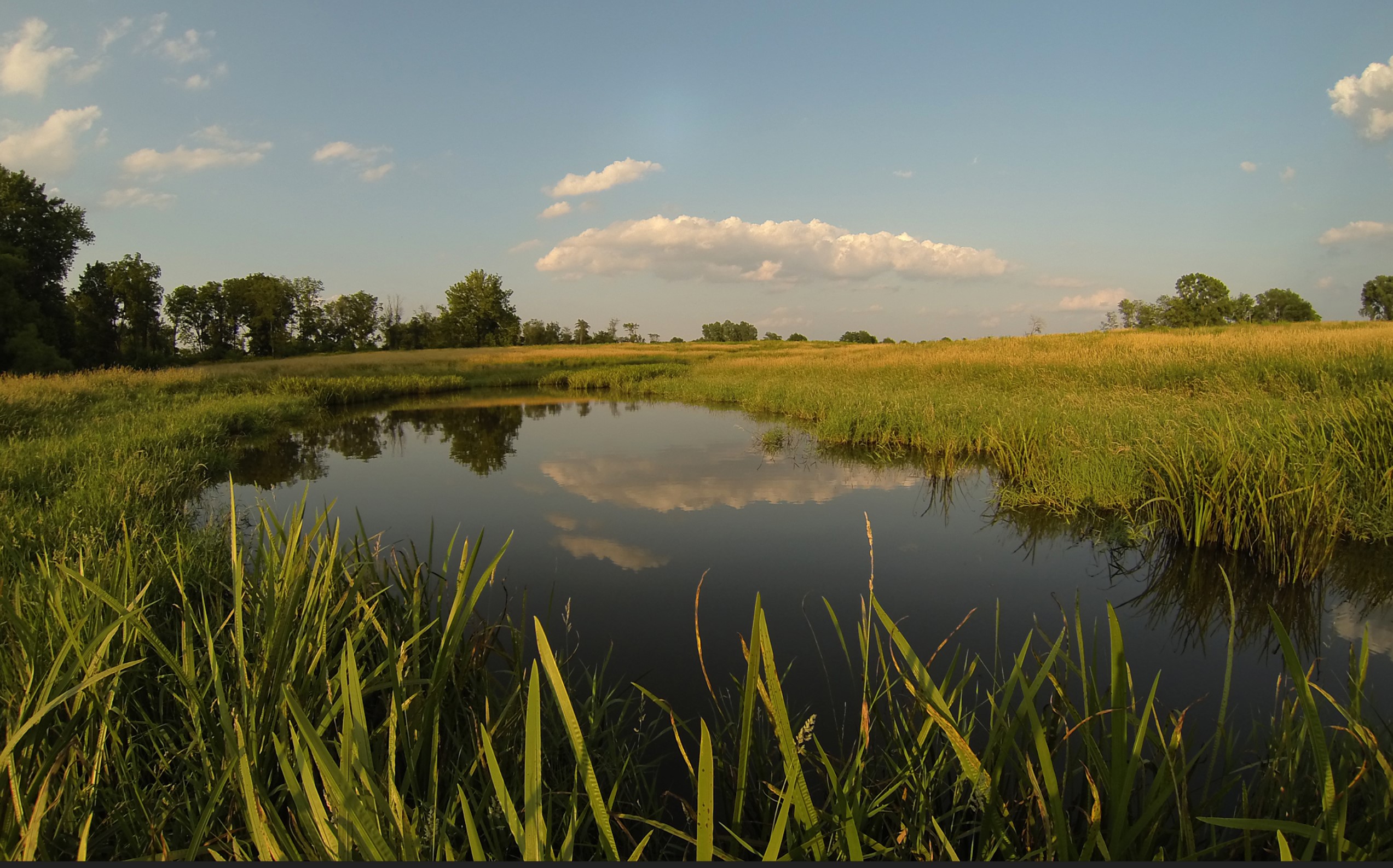 CICADA—Conservation Inclusive Development-Residential-Habitat Management